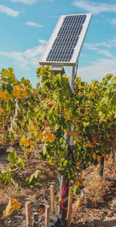 SunnyBee Solar PV and Electric Car Charger Installation